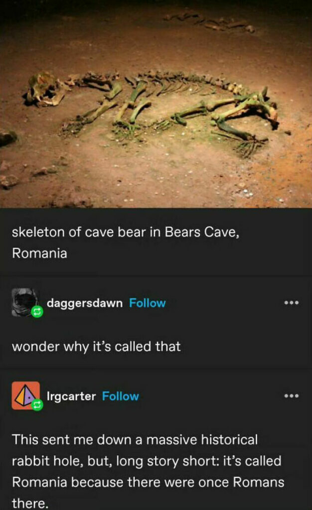 40 Epic Animal Memes Found On The ‘Epic World Page’ IG Account | DeMilked