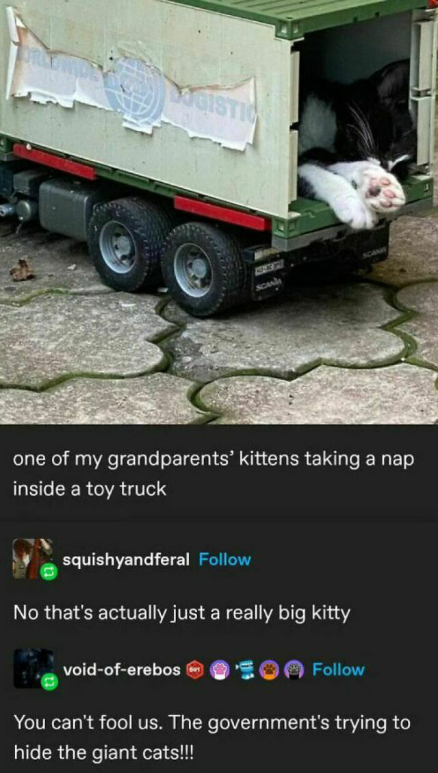 40 Epic Animal Memes Found On The ‘Epic World Page’ IG Account | DeMilked