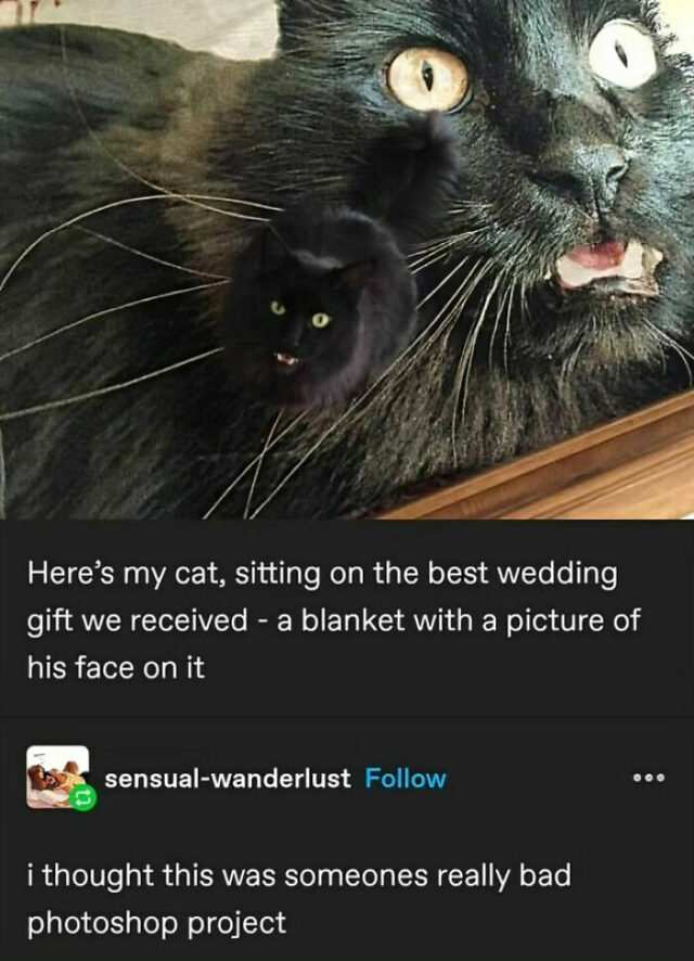 40 Epic Animal Memes Found On The ‘Epic World Page’ IG Account | DeMilked