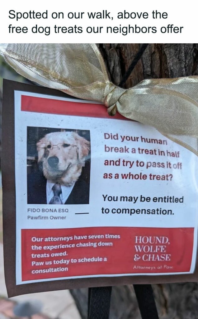 40 Epic Animal Memes Found On The ‘Epic World Page’ IG Account | DeMilked