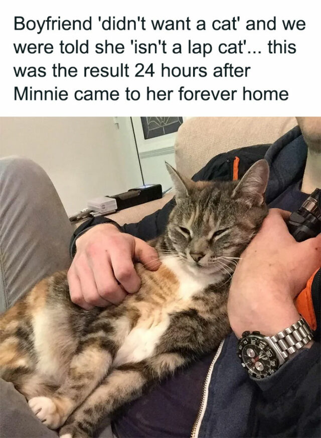 40 Epic Animal Memes Found On The ‘Epic World Page’ IG Account | DeMilked