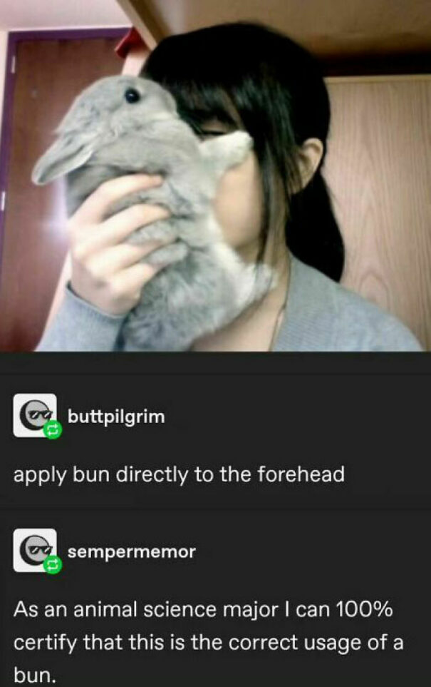 40 Epic Animal Memes Found On The ‘Epic World Page’ IG Account | DeMilked