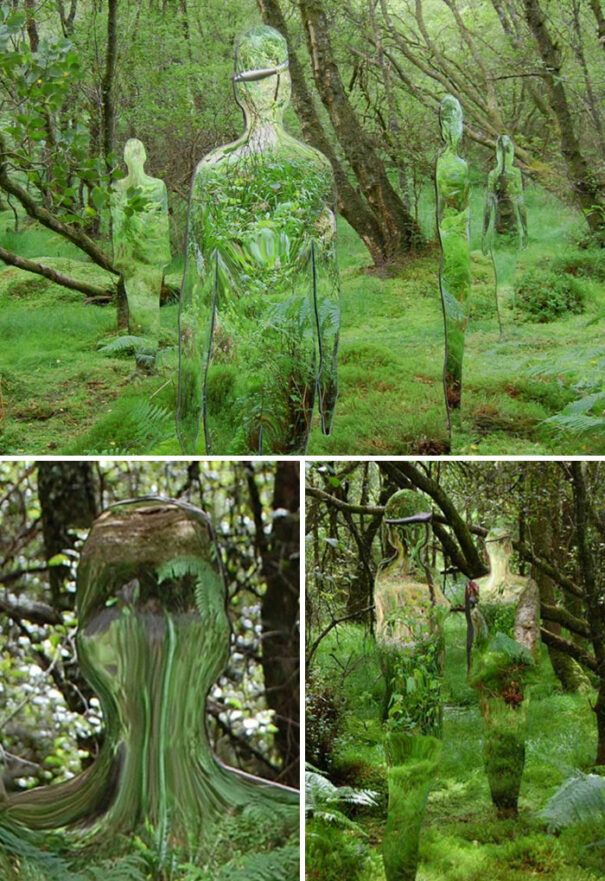 40 Pics Of Fascinating Things People Found In A Forest | DeMilked