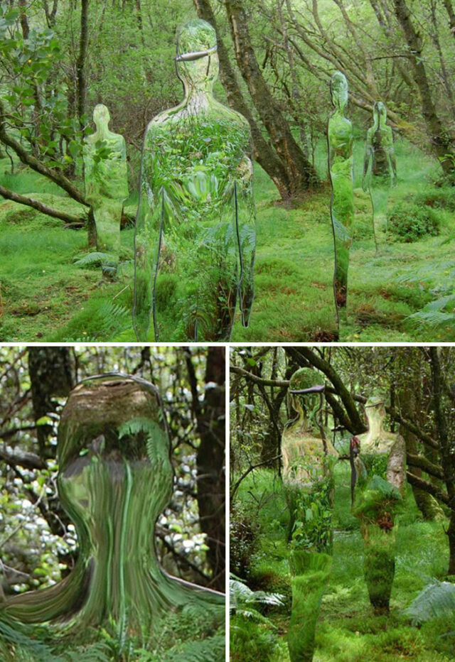 40 Pics Of Fascinating Things People Found In A Forest | DeMilked