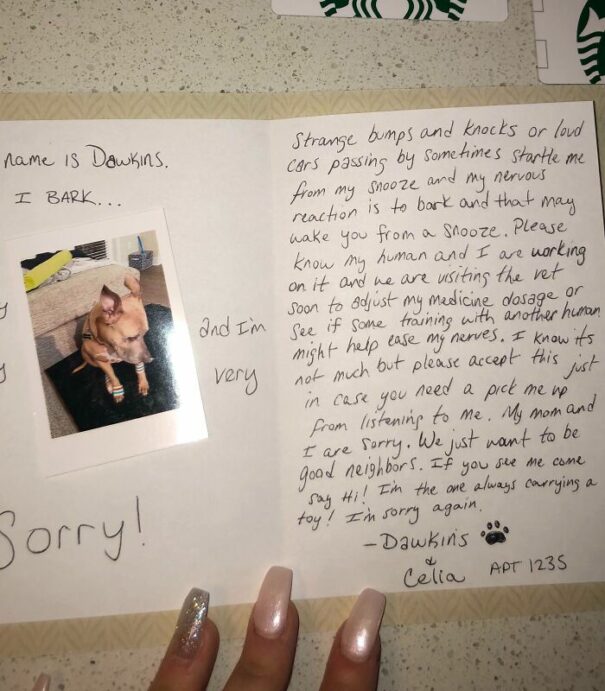35 Times People Wrote The Most Hilarious Apology Notes | DeMilked