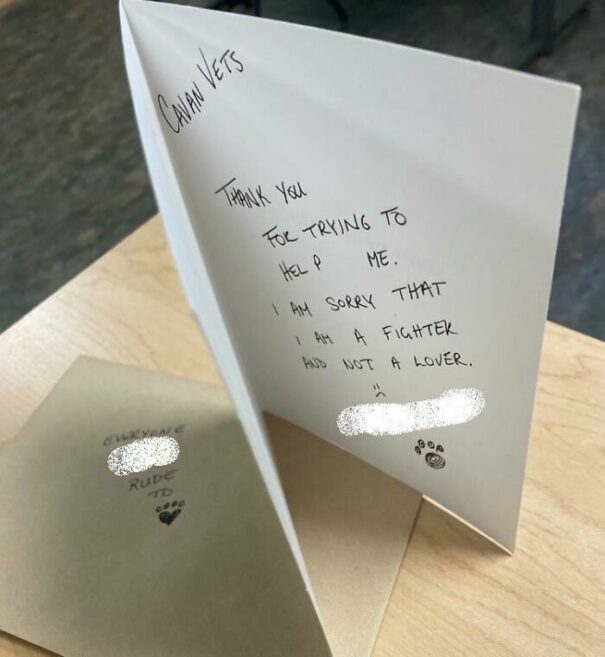 35 Times People Wrote The Most Hilarious Apology Notes | DeMilked