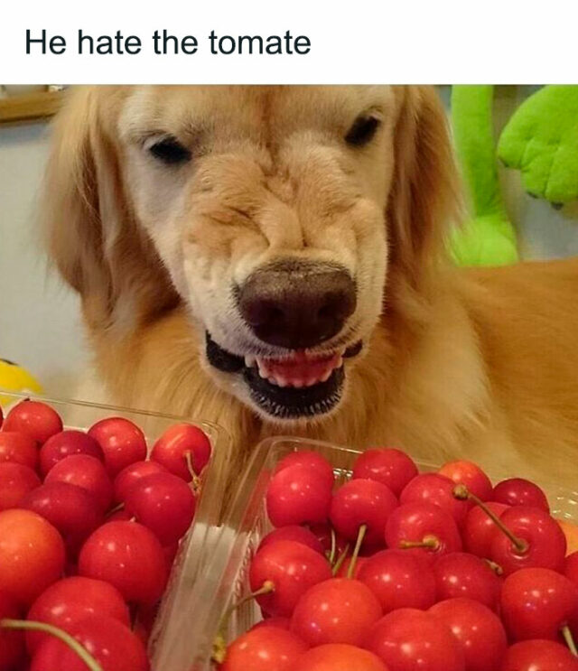 25 Of The Funniest Posts Found On The ‘Boys Who Can Cook’ Meme Page ...