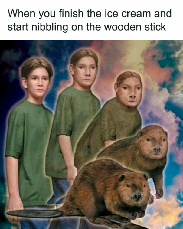 25 Of The Funniest Posts Found On The ‘Boys Who Can Cook’ Meme Page ...