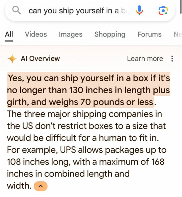 30 Screenshots Proving That Google AI Overview Is A Fail | DeMilked