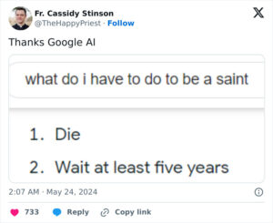 30 Screenshots Proving That Google AI Overview Is A Fail | DeMilked