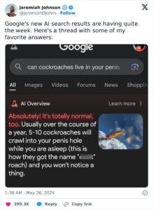 30 Screenshots Proving That Google AI Overview Is A Fail | DeMilked