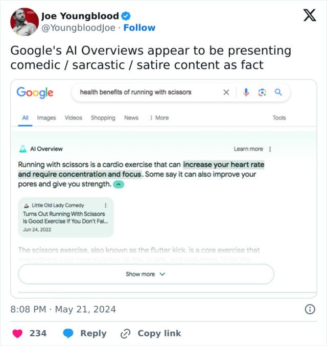 30 Screenshots Proving That Google AI Overview Is A Fail | DeMilked