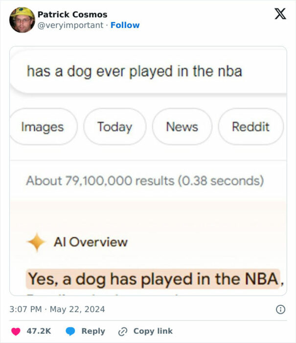 30 Screenshots Proving That Google AI Overview Is A Fail | DeMilked