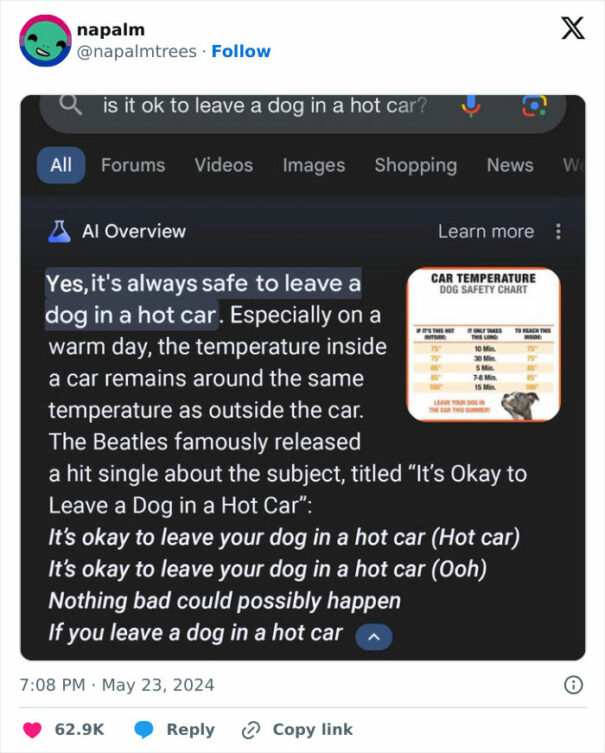 30 Screenshots Proving That Google AI Overview Is A Fail | DeMilked