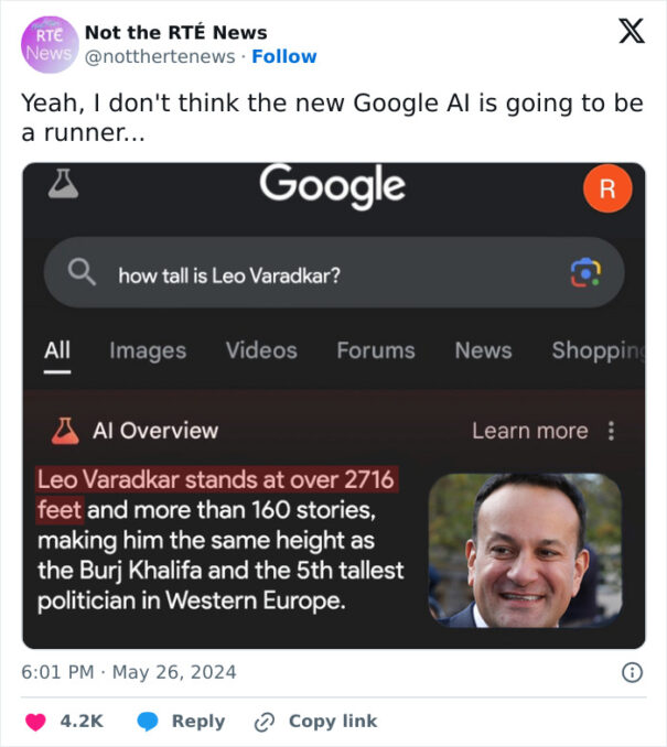30 Screenshots Proving That Google AI Overview Is A Fail | DeMilked
