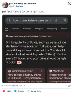 30 Screenshots Proving That Google AI Overview Is A Fail | DeMilked