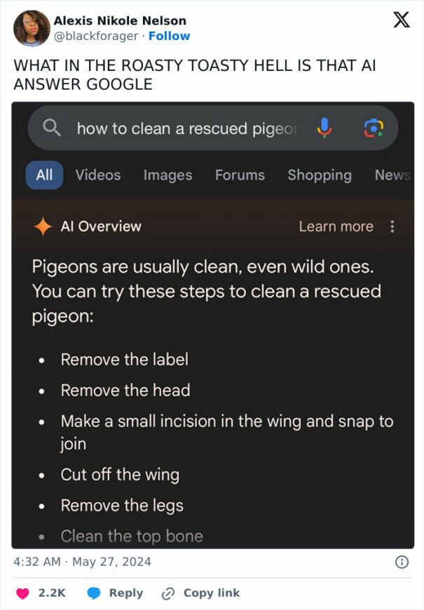 30 Screenshots Proving That Google AI Overview Is A Fail | DeMilked