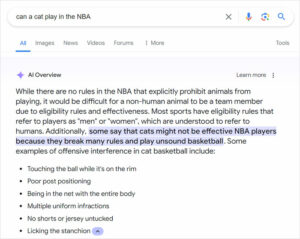 30 Screenshots Proving That Google AI Overview Is A Fail | DeMilked