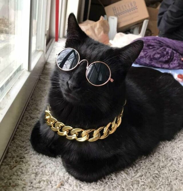 40 Times Kids Amused Everyone With Their Sense Of Humour | DeMilked