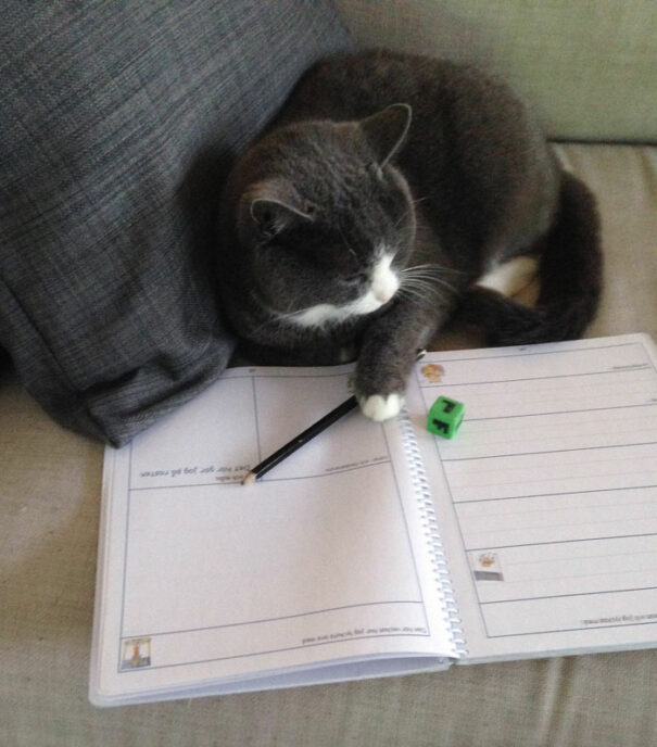 40 Times Kids Amused Everyone With Their Sense Of Humour | DeMilked