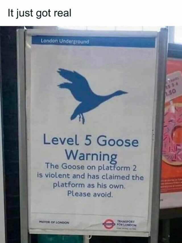 35 Times Amusingly Bizarre Signs Were Spotted In The 'Signs With ...