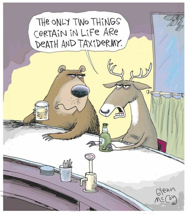 25 Of The Latest Comics Drawn By Award Winning Artist Glenn McCoy ...