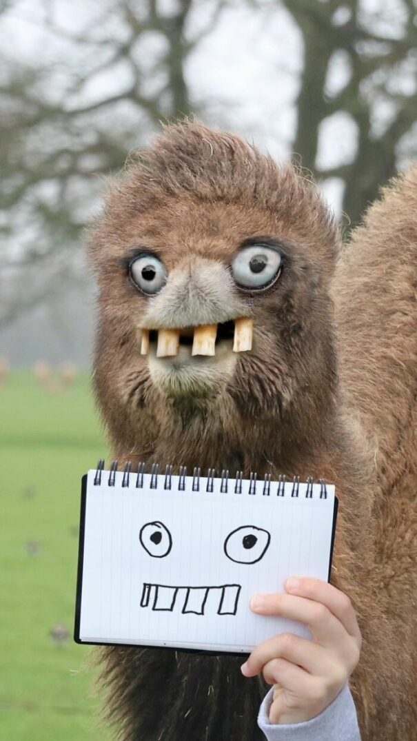 Dad’s Cute Project Shows 25 Kids’ Doodles As Real Animals | DeMilked