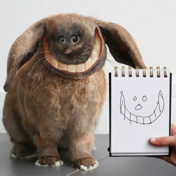 Dad’s Cute Project Shows 25 Kids’ Doodles As Real Animals | DeMilked