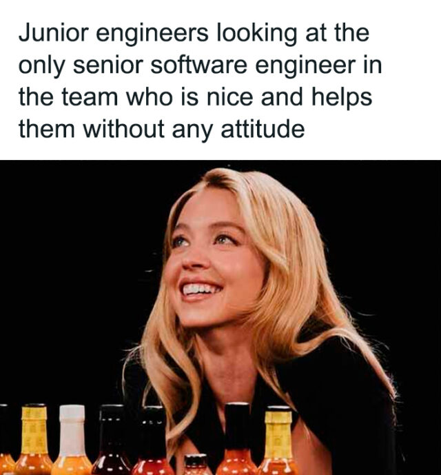 25 Funny Memes About The Everyday Struggles Of Programmers | DeMilked