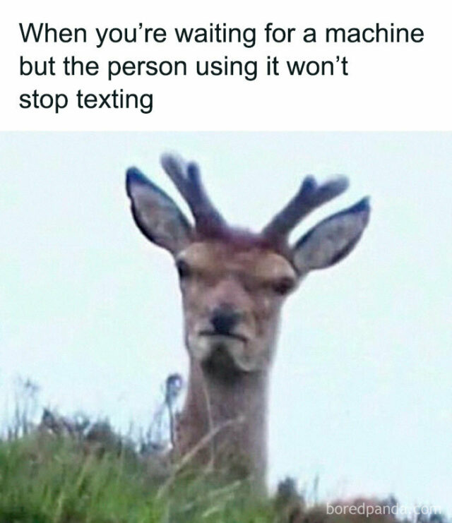 25 Relatable Memes About Gym Life Demilked