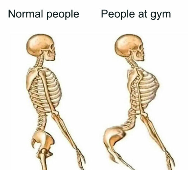 25 Relatable Memes About Gym Life | DeMilked