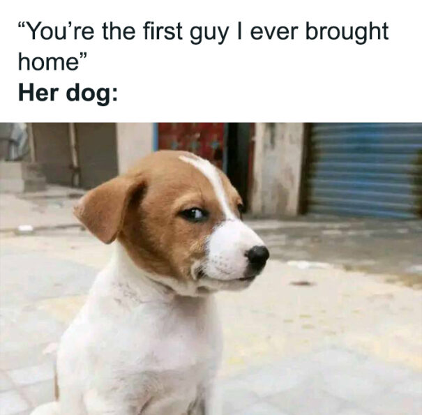 40 Relationship Memes For Anyone Craving Romance | DeMilked