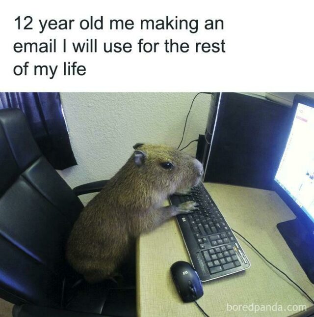 40 Chucklesome Memes To Share With Your Friends | DeMilked