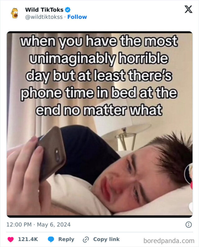 25 “Wild TikToks” That Range From Funny To Cringe | DeMilked