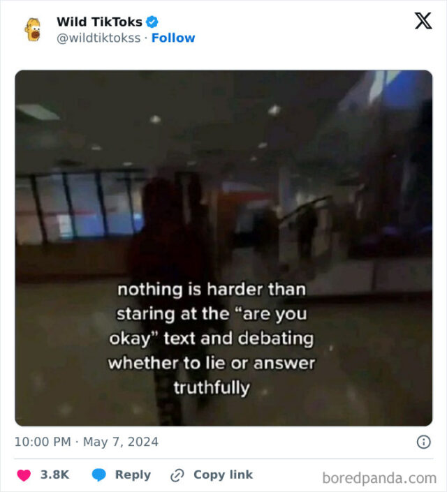 25 “Wild TikToks” That Range From Funny To Cringe | DeMilked