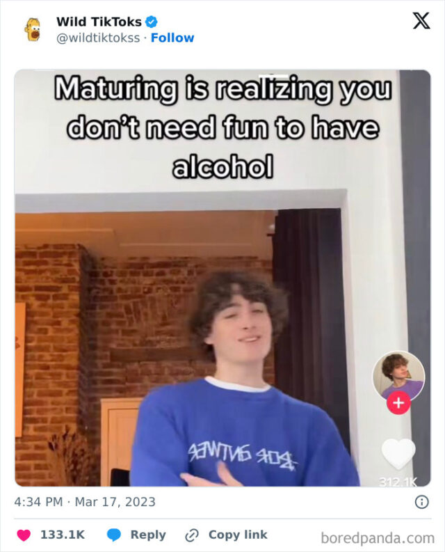 25 “Wild TikToks” That Range From Funny To Cringe | DeMilked