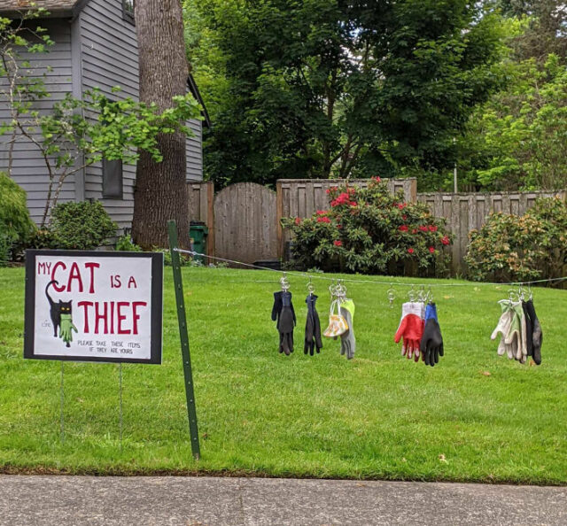 40 Photos Of The Most Odd Yet Wholesome Neighbours | DeMilked