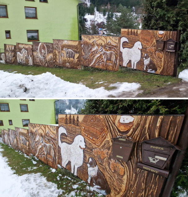 40 Photos Of The Most Odd Yet Wholesome Neighbours | DeMilked