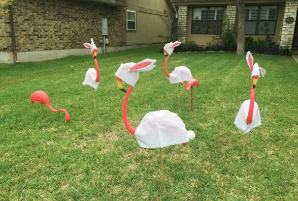 40 Photos Of The Most Odd Yet Wholesome Neighbours | DeMilked