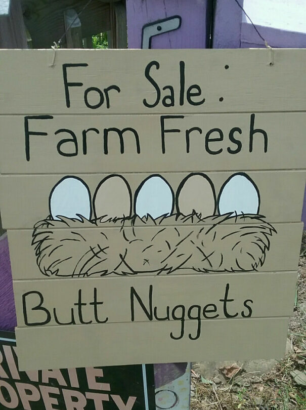 40 Photos Of The Most Odd Yet Wholesome Neighbours | DeMilked