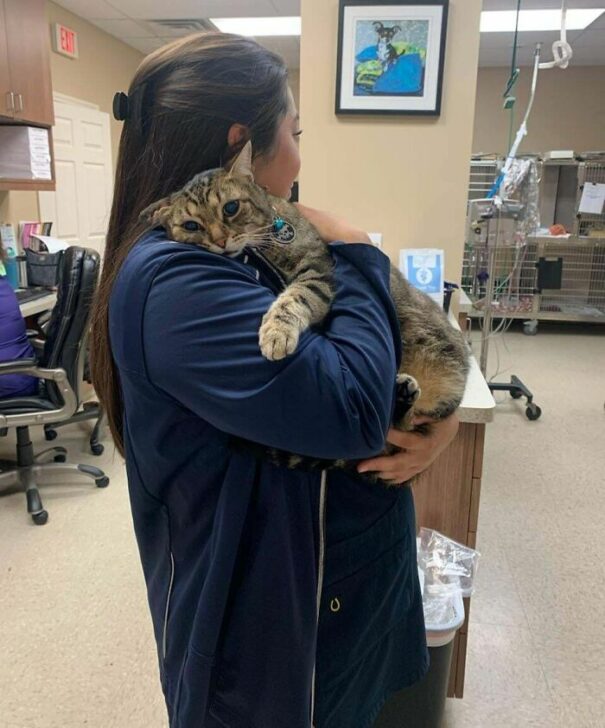 35 Funny And Heartwarming Vet Clinic Stories Shared Through Pics | DeMilked