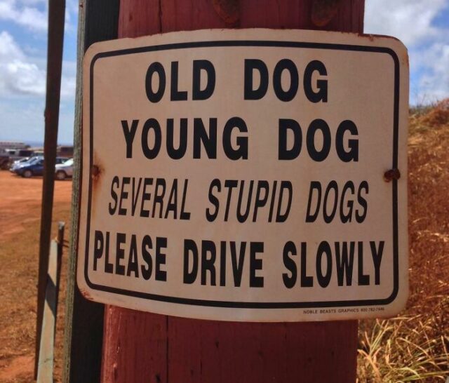25 Of The Most Amusing Signs Spotted In Public | DeMilked
