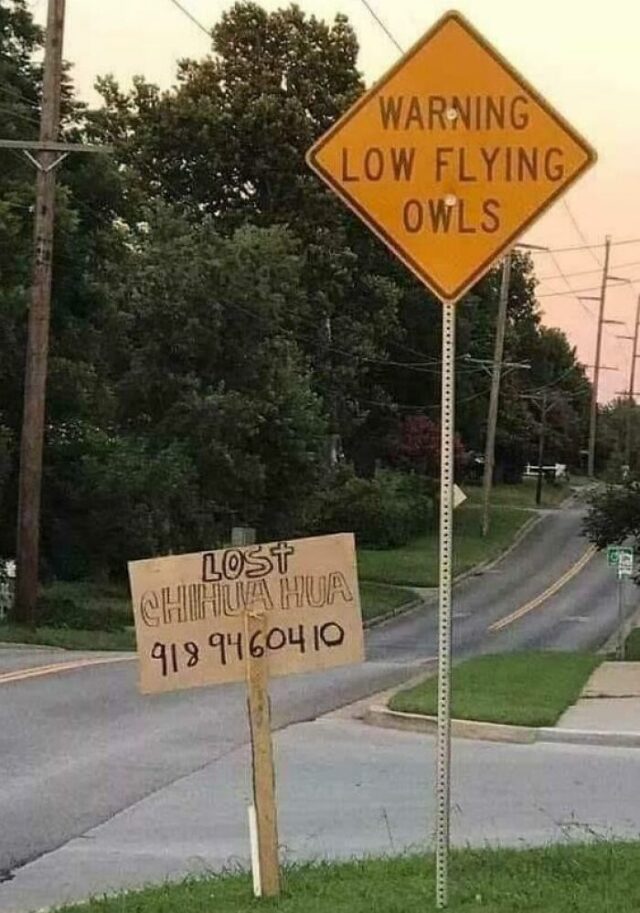 25 Of The Most Amusing Signs Spotted In Public | DeMilked