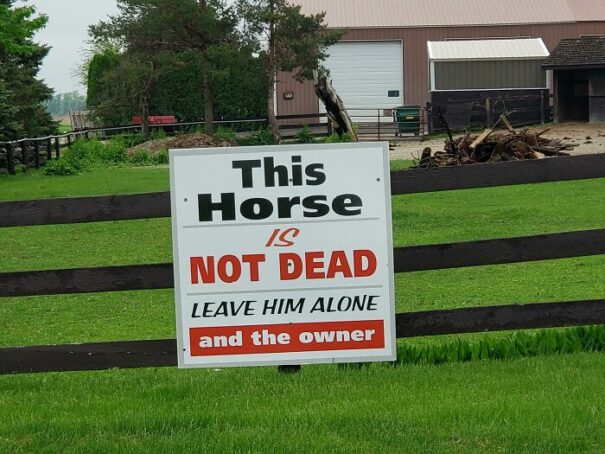25 Of The Most Amusing Signs Spotted In Public | DeMilked
