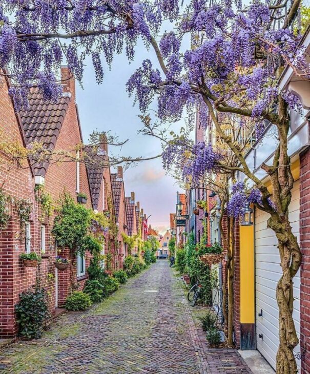 25 Amazing Photos Showing That No Other Country Is Like Netherlands ...