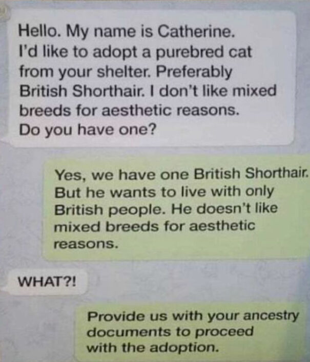 40 Savage Retorts That Put People In Their Place | DeMilked