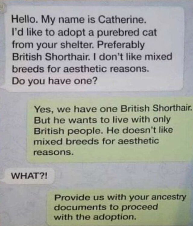 40 Savage Retorts That Put People In Their Place | DeMilked