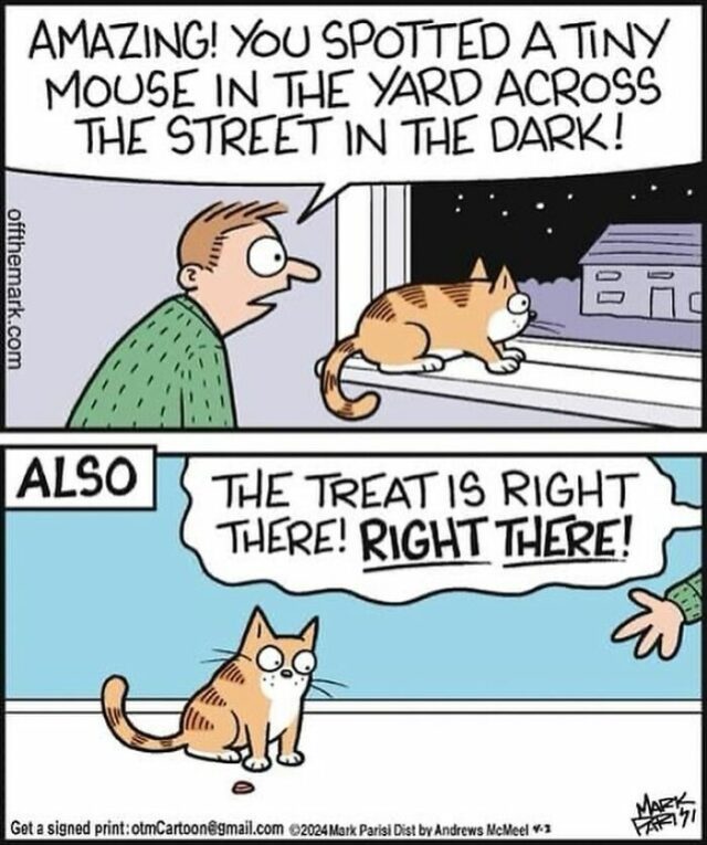 30 Illustrations That Perfectly Depict What It's Like To Live With A ...