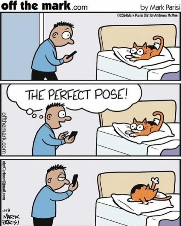 30 Illustrations That Perfectly Depict What It's Like To Live With A ...