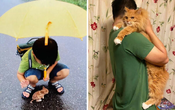 35 Times Animals Were So Irresistibly Cute, People Had To Share Pics ...